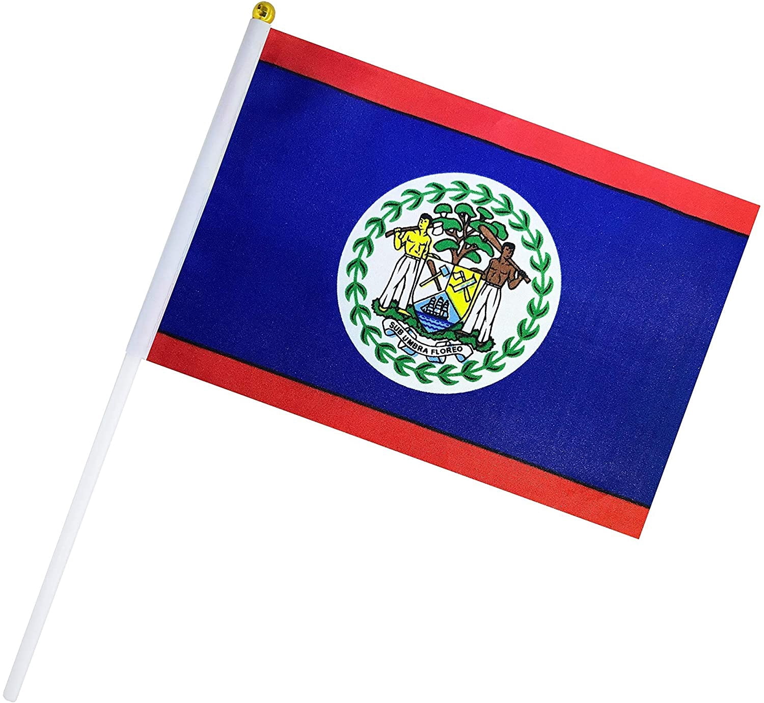 Lei Song 50 Pack Hand Held Small Mini Flag Belize Flag Stick Flag Round ...