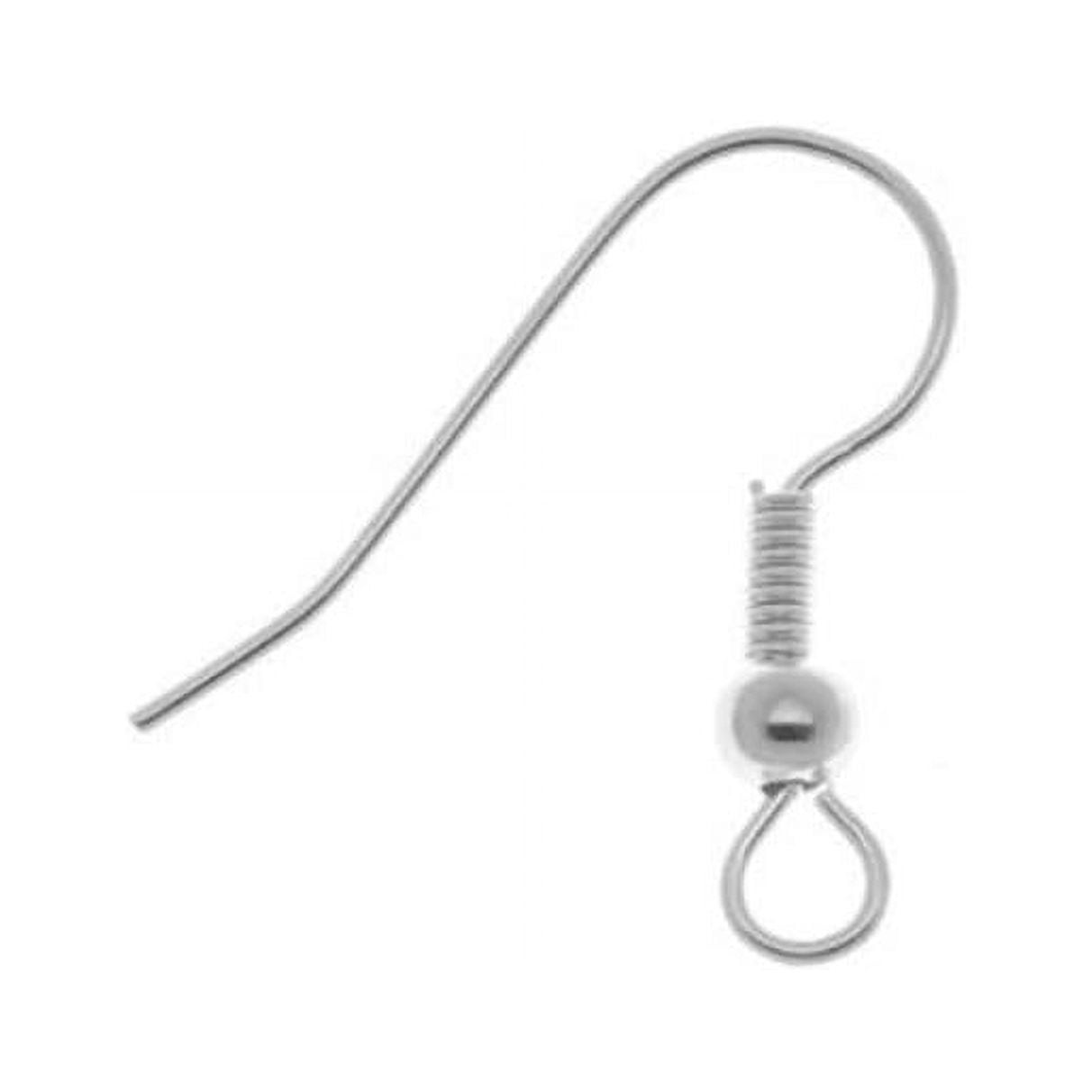 Leileiiiii Big Hoop Earrings for Women 100 Piece Steel Earring Hooks ...