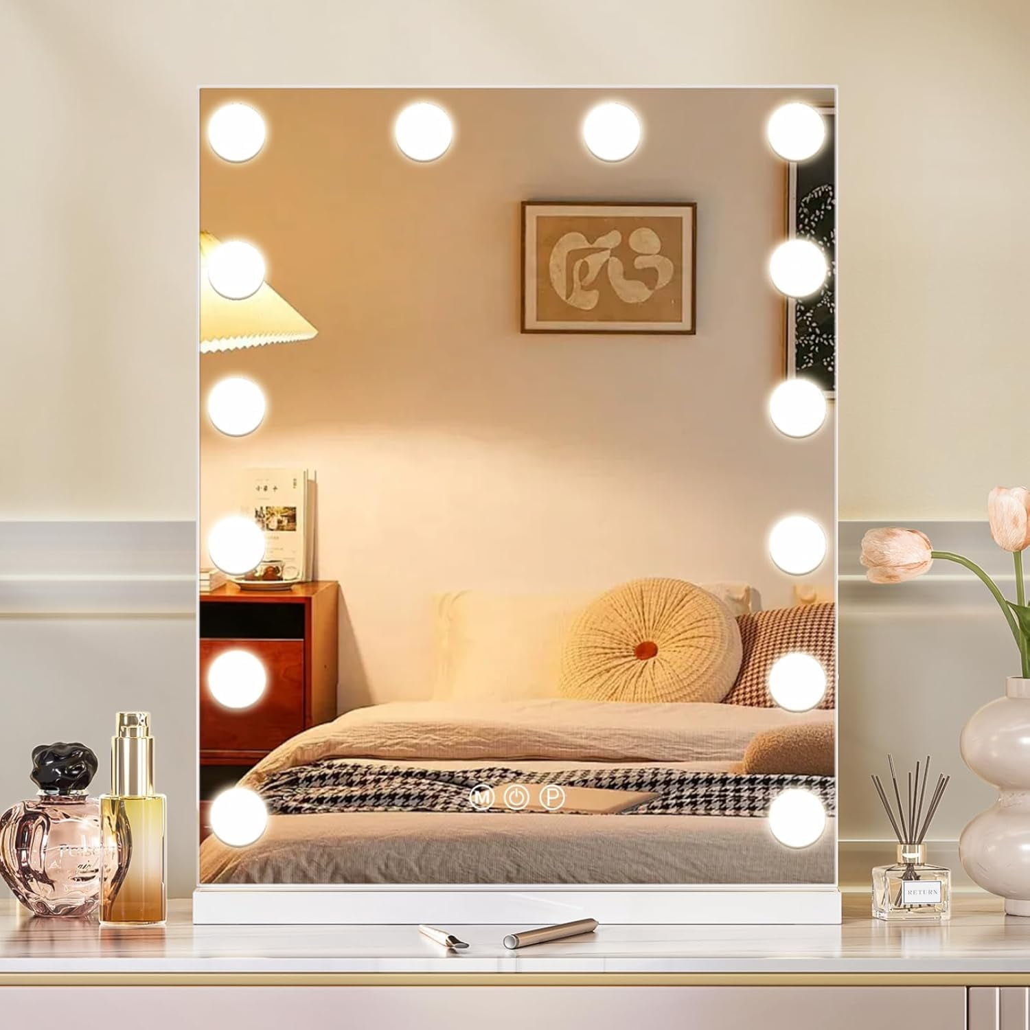 Leishe Vanity Mirror with Lights 15.8x19.7 and 5X Magnification Mirror ...