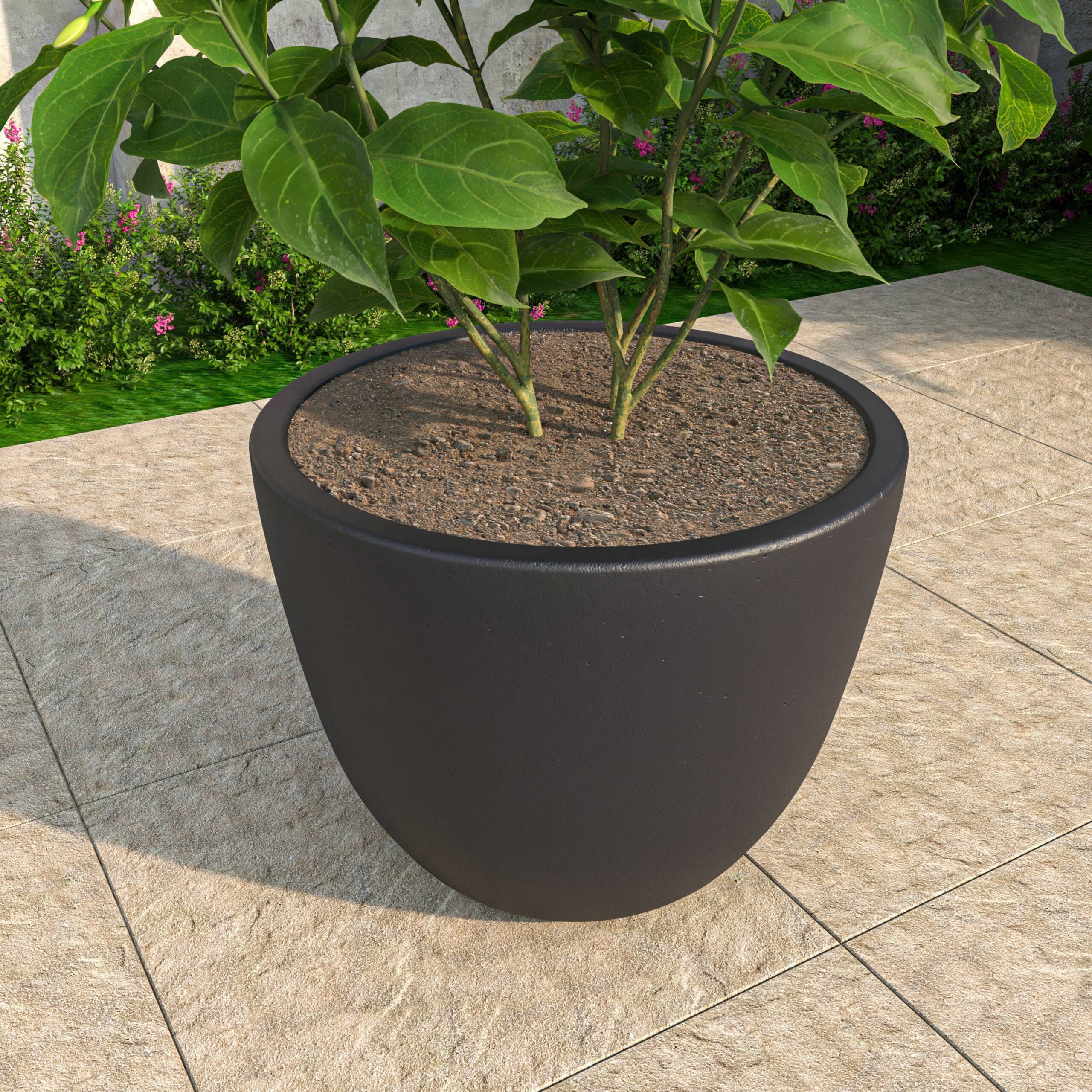 LeisureMod Dahlia Fiberstone and MgO Clay Planter, Mid-Century Modern ...