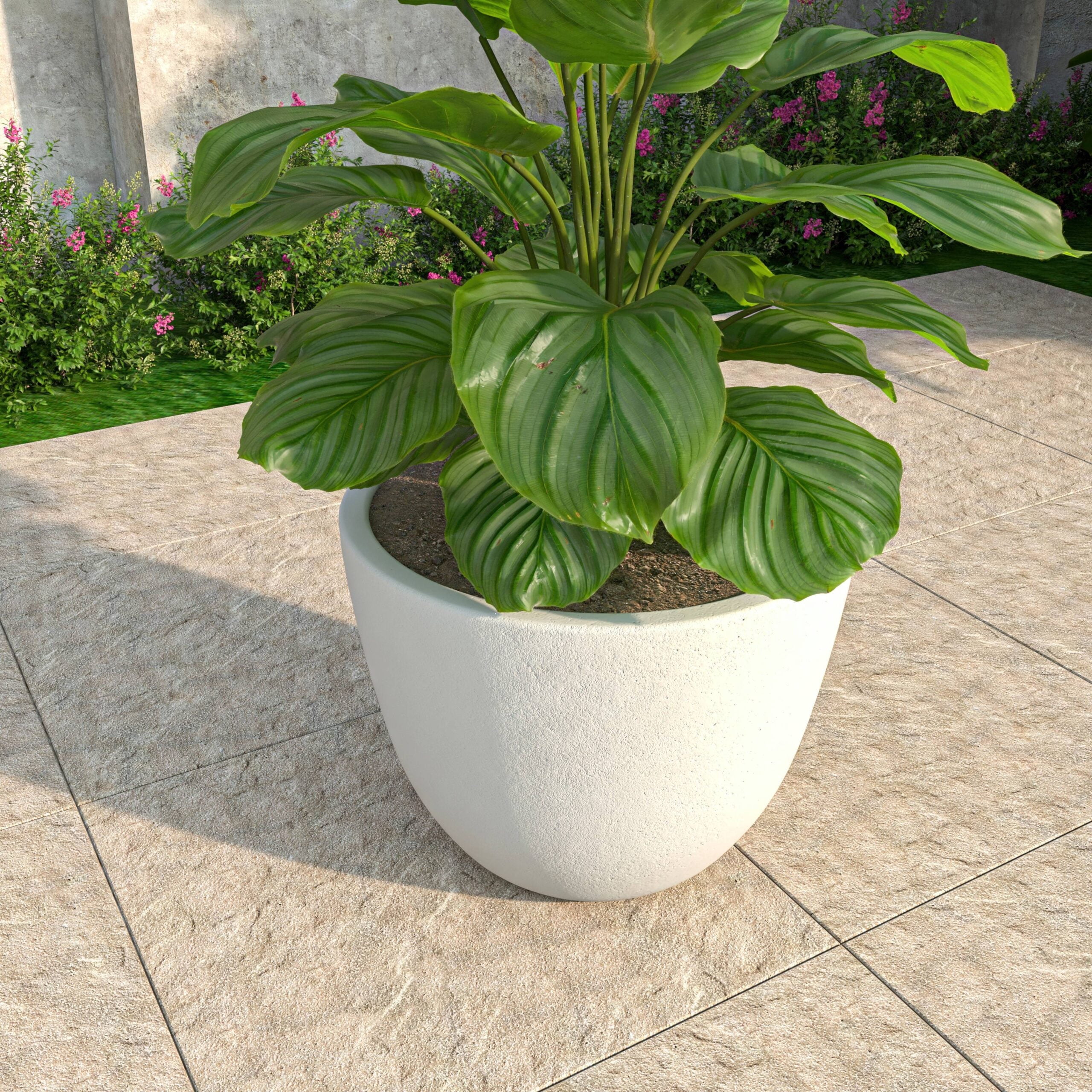LeisureMod Dahlia Mid-Century Tapered Round Planter, Fiberstone & MgO ...