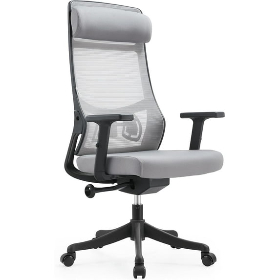 LeisureMod Ergonomic Office Chair - High Back Mesh Chair with Lumbar ...