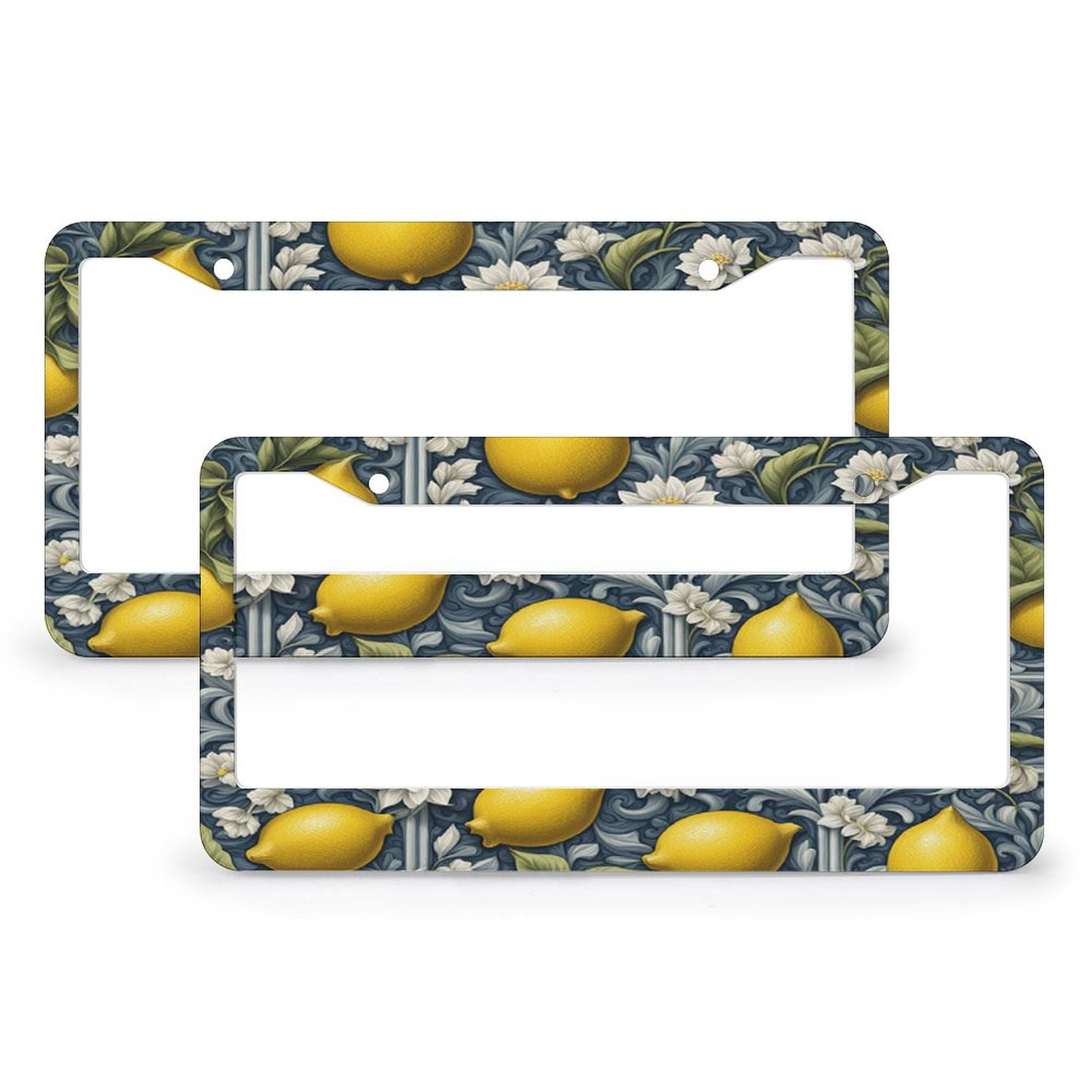 Lemon 2 Pack License Plate Frame - Car Plate Holder Cover Metal Tag ...