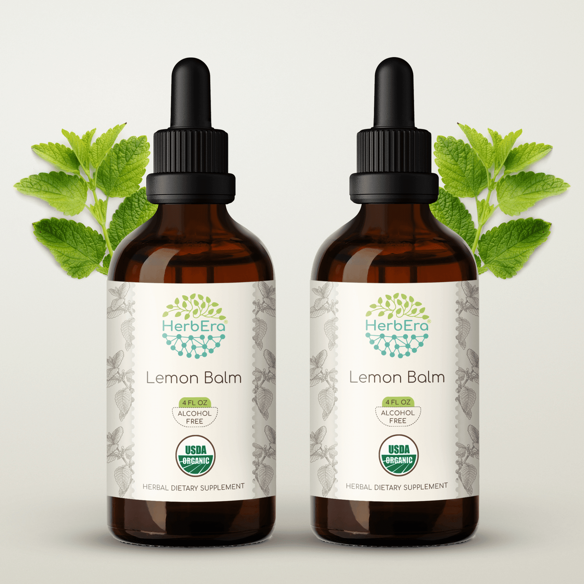 HerbEra Lemon Balm Tincture, Organic Herbal Dietary Supplement for Mood ...