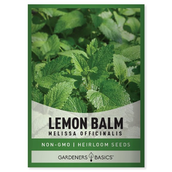 Lemon Balm Plants