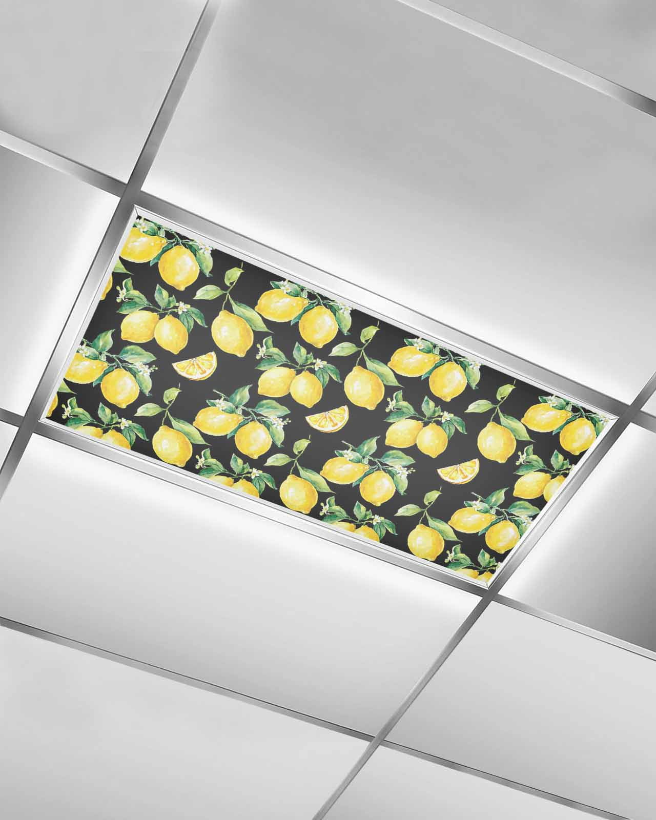 Lemon Black Fluorescent Light Covers for Ceiling Lights 4x2 feet,1 Pack ...