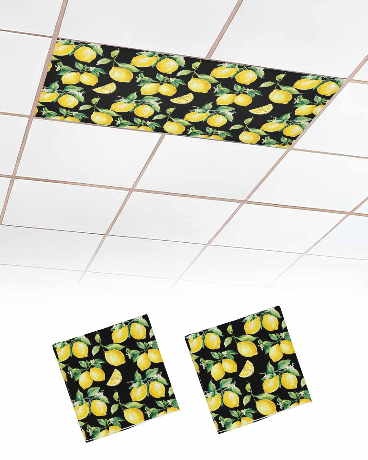 Lemon Black Fluorescent Light Covers for Ceiling Lights 4x2 feet,2 Pack ...