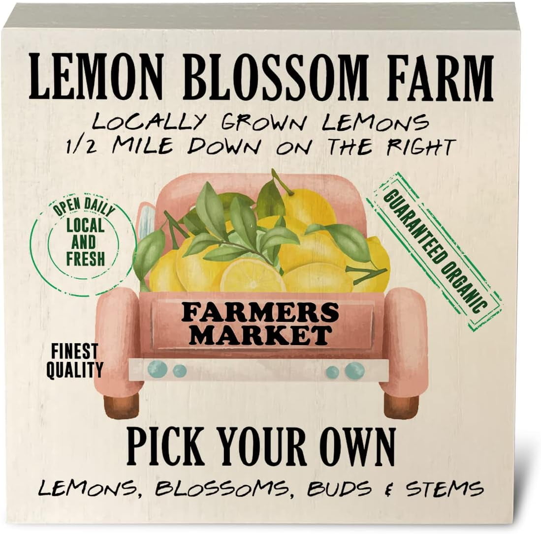 Lemon Blossom Farm Artwork Wood Box Sign Rustic Farmhouse Style Summer ...