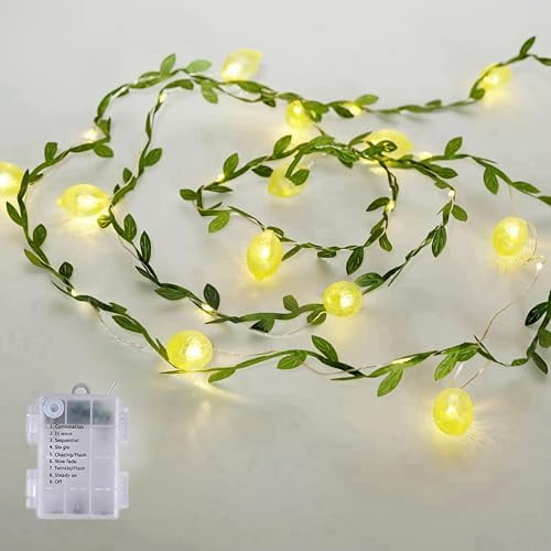 Lemon Decor String Lights Battery Operated Light String 10FT 30LEDs ...