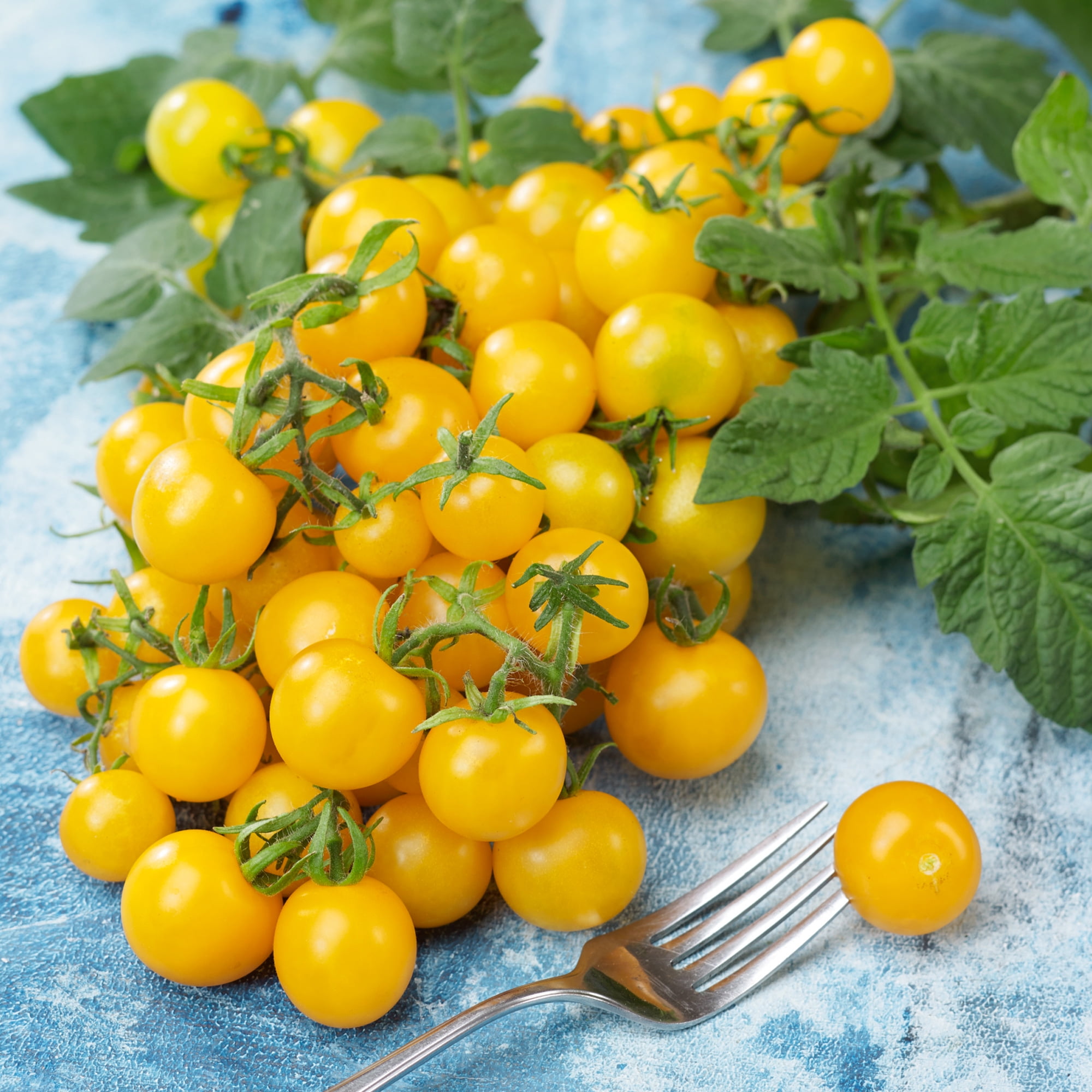 Lemon Drop Imp. F1 Hybrid Tomato Seeds - 4 Oz ~27200 Seeds - Non-GMO, F1 Hybrid - Vegetable ...