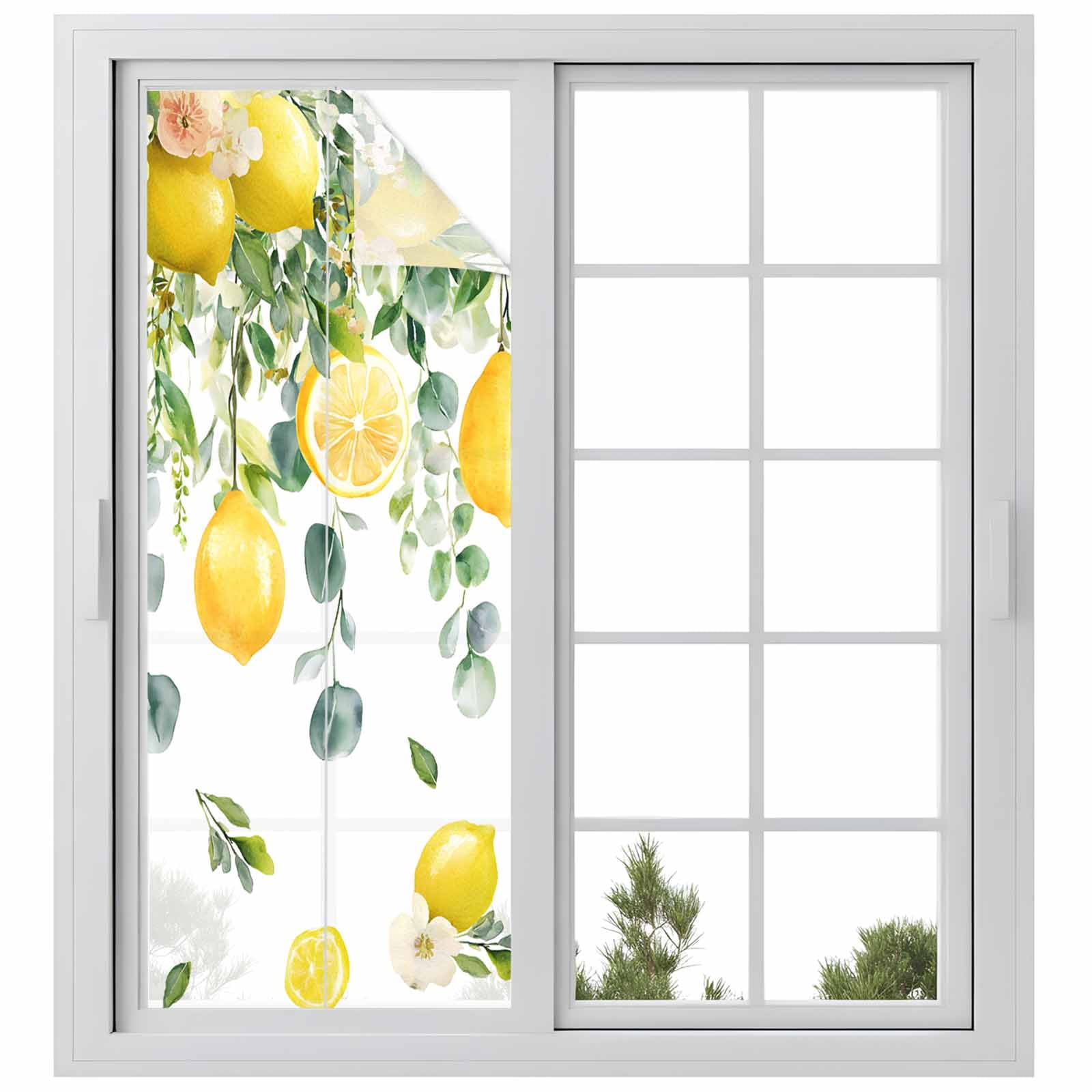 Lemon Eucalyptus Window Privacy Film, Farm Flower Fruit Country Boho ...
