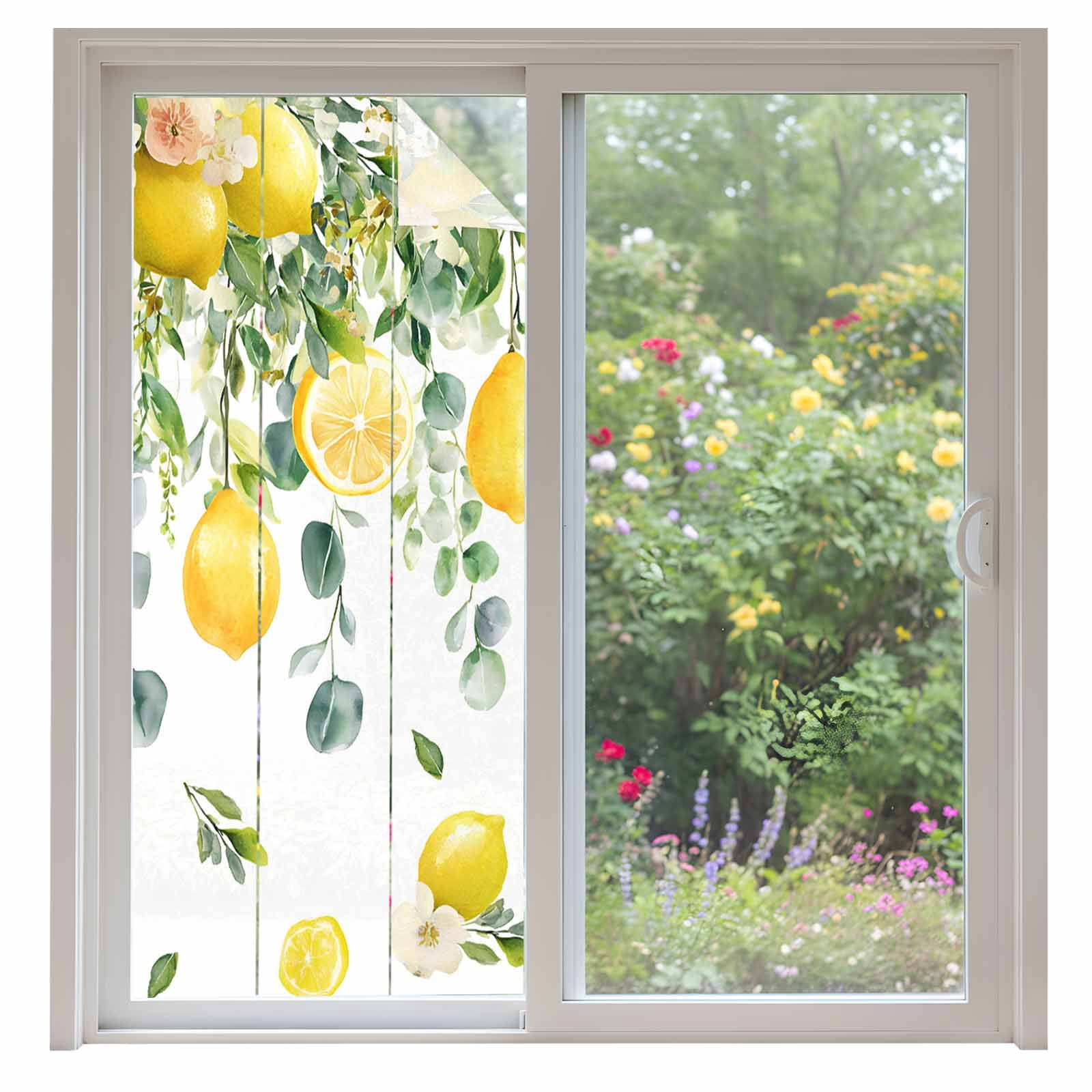 Lemon Eucalyptus Window Privacy Film, Farm Flower Fruit Country Boho ...