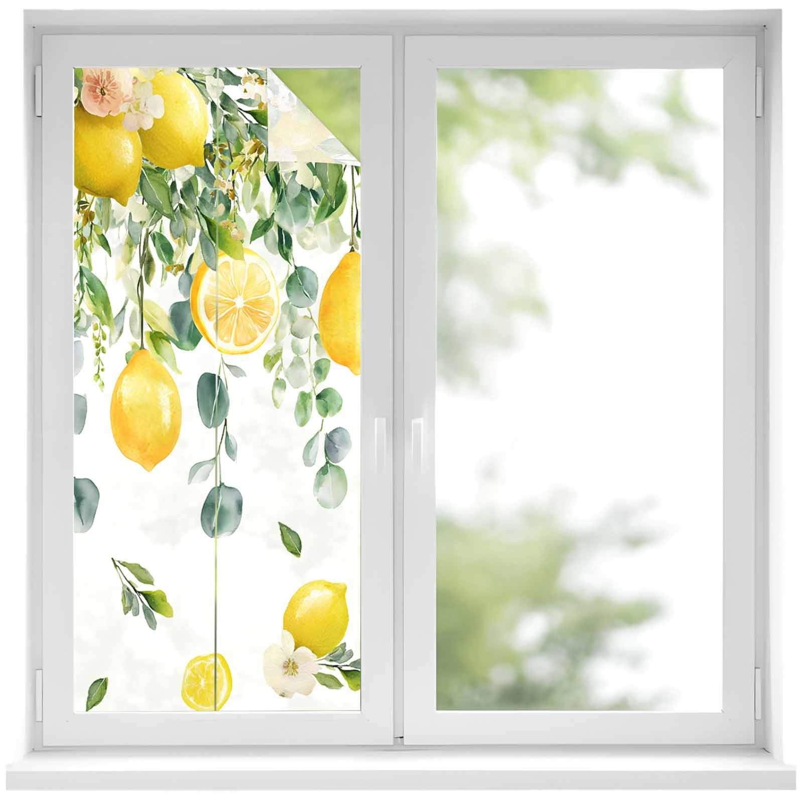 Lemon Eucalyptus Window Privacy Film, Farm Flower Fruit Country Boho ...