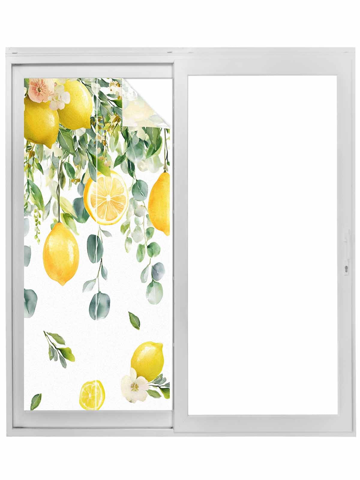 Lemon Eucalyptus Window Privacy Film, Farm Flower Fruit Country Boho ...
