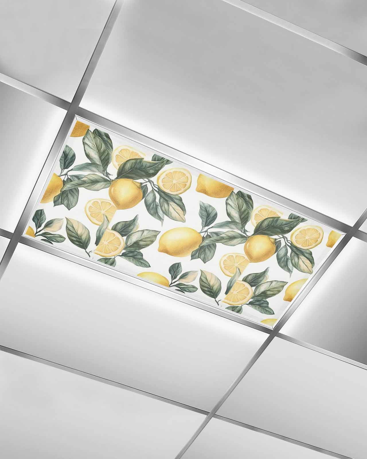 Lemon Fluorescent Light Covers for Ceiling Lights 4x2 feet,1 Pack ...