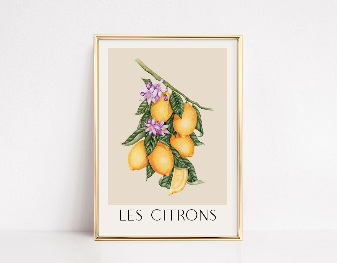 Lemon Poster, Les Citrons Poster, Vintage Lemons Poster, Fruit Poster ...