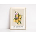 Lemon Poster Les Citrons Vintage Lemons Fruit Yellow Kitchen wall art ...