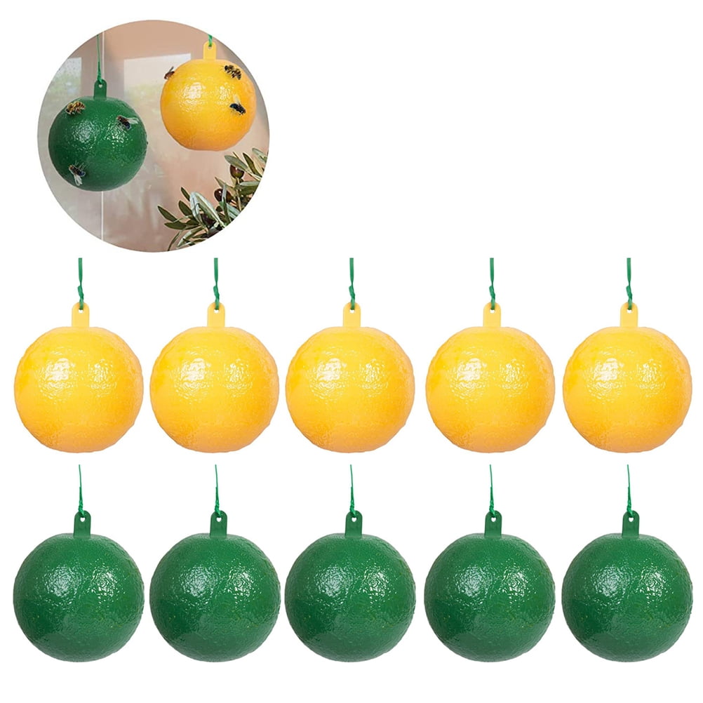 Lemon Storage Containers Fridge Fresh Keeper, Compact Design Large ...