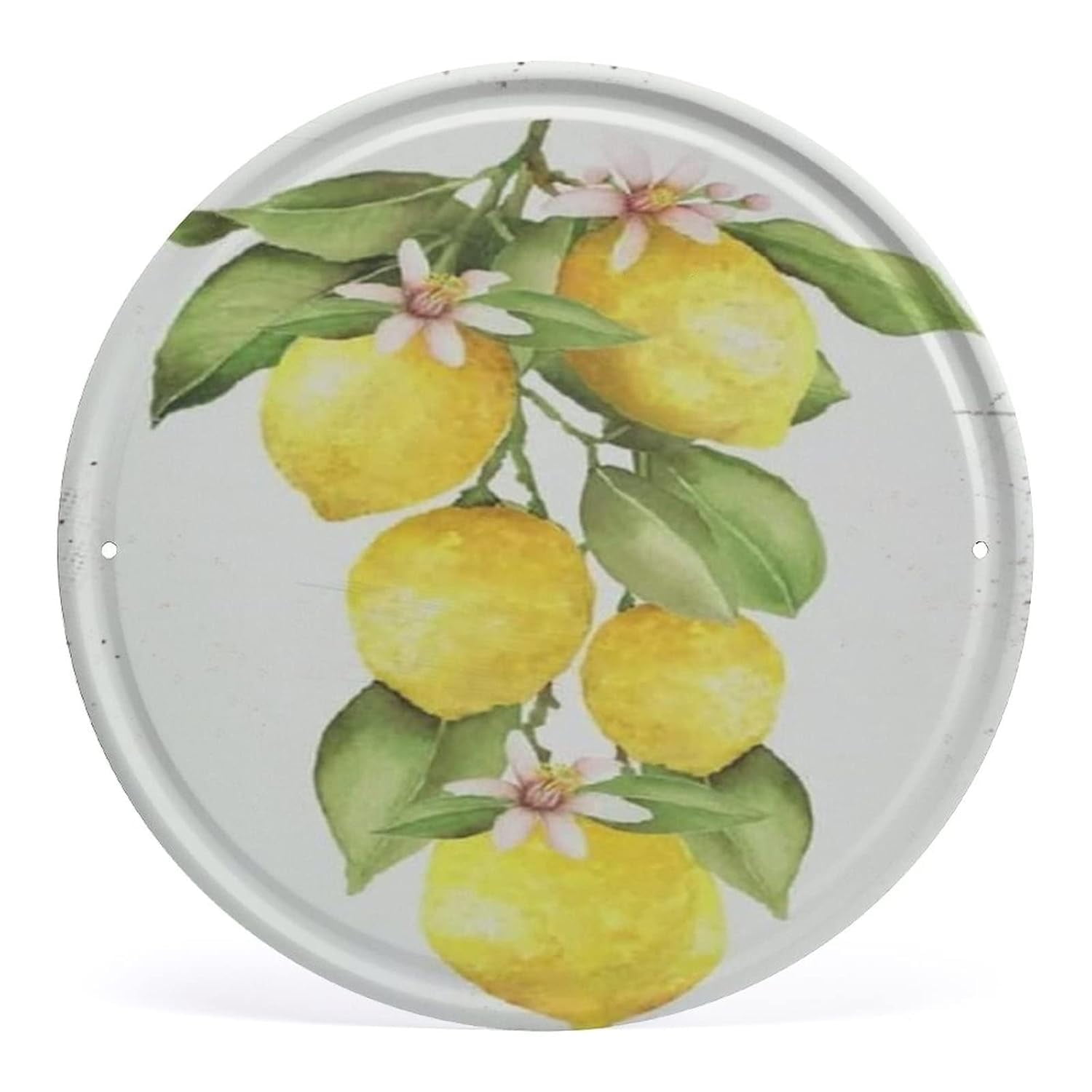 Lemon Summer Fruit Man Cave Lemon Market Plaque/Sign Farmhouse Wall Art ...