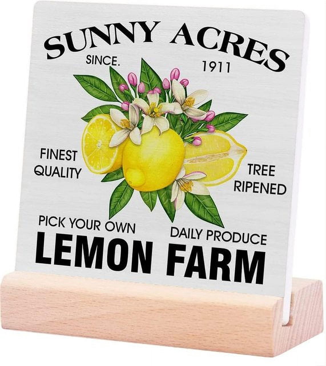Lemon Table Plaque With Wooden Stand Desk Decorations Sunny Acres Lemon ...