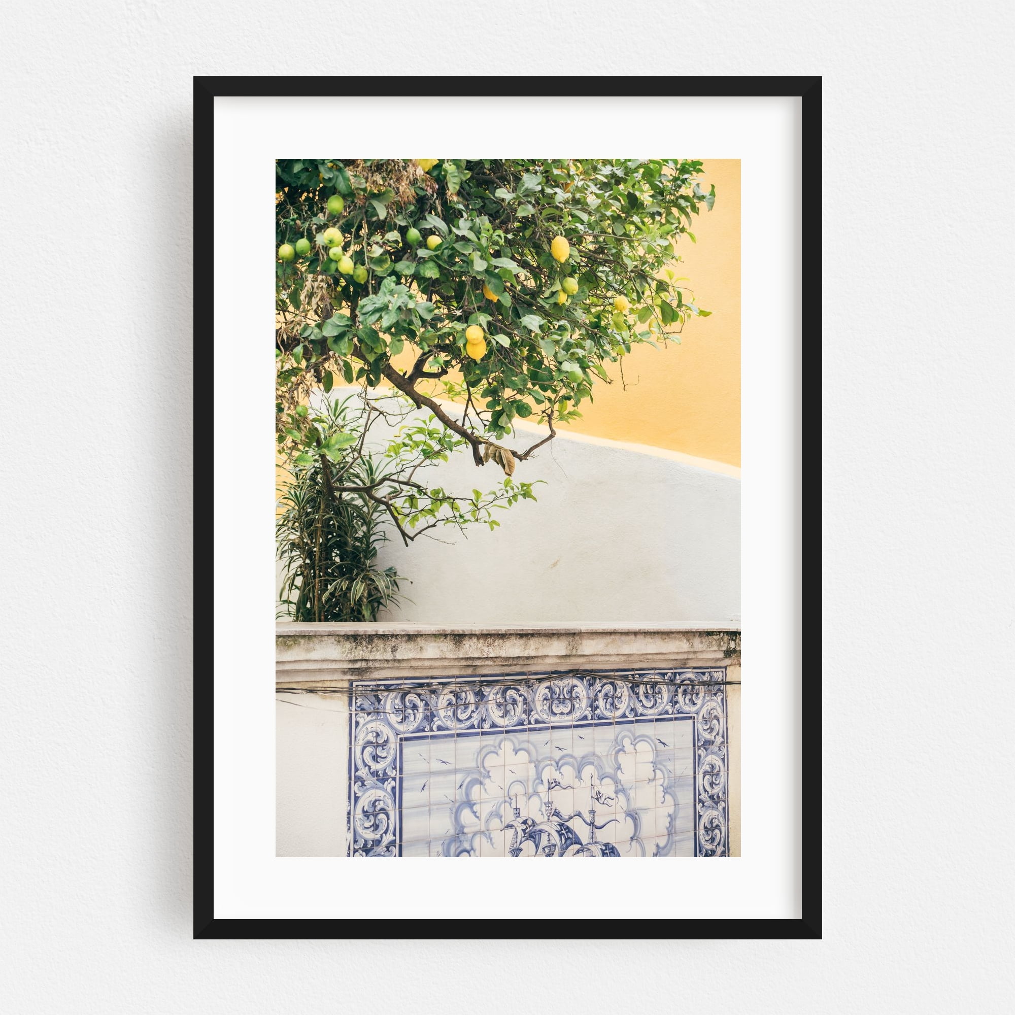 Lemon Tree in Portugal - Lisbon Portugal Photography Lemon Botanical ...