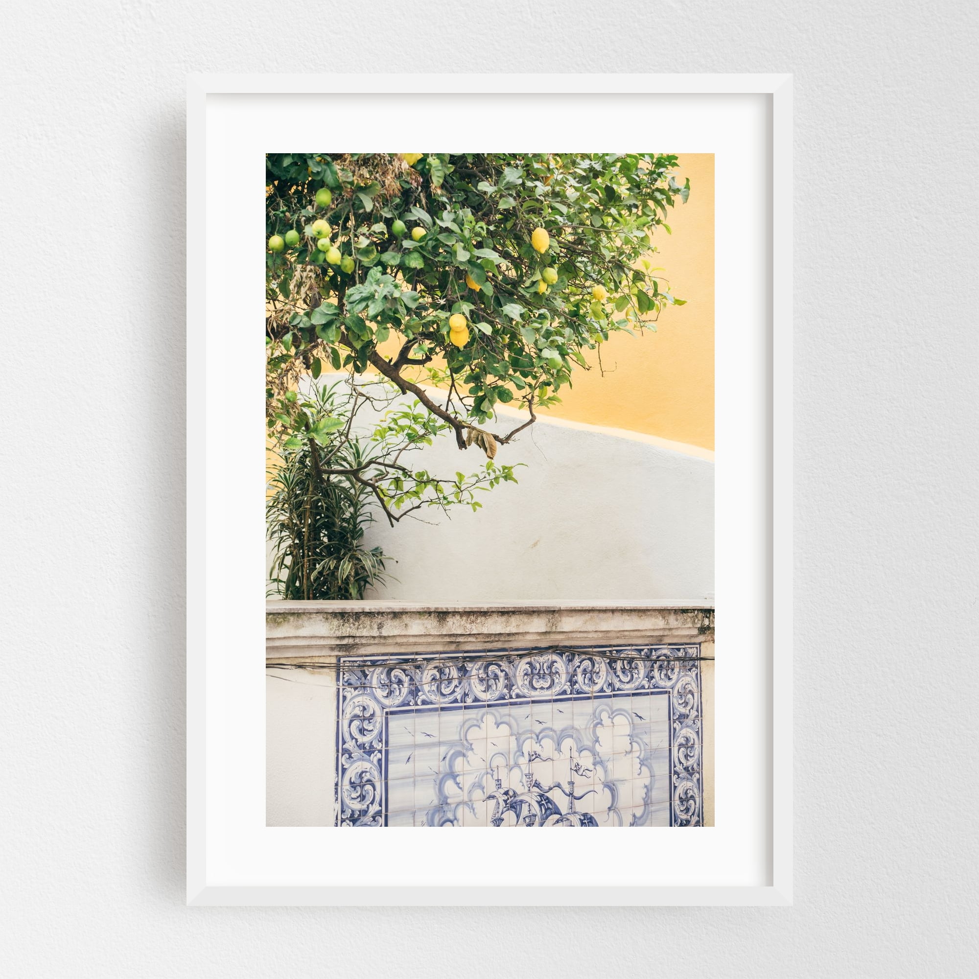 Lemon Tree in Portugal - Lisbon Portugal Photography Lemon Botanical ...