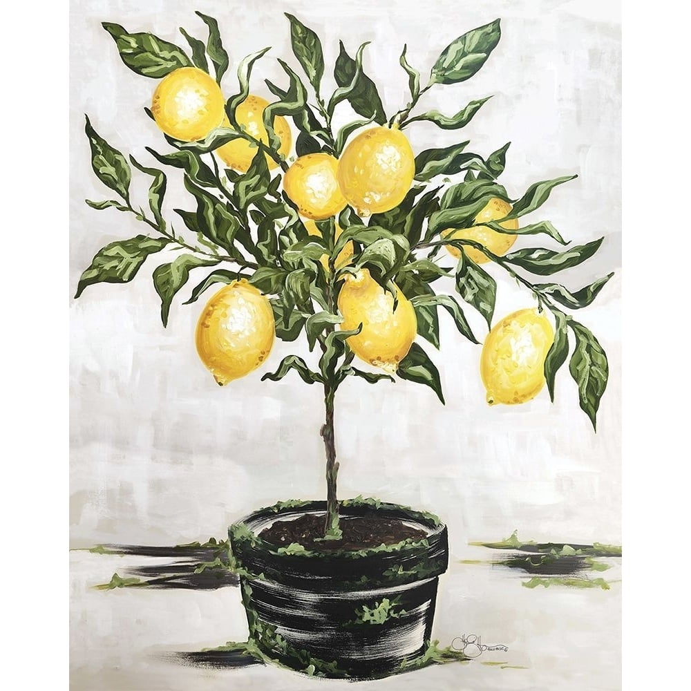 Lemon Tree Poster Print by Hollihocks Art Hollihocks Art - Walmart.com