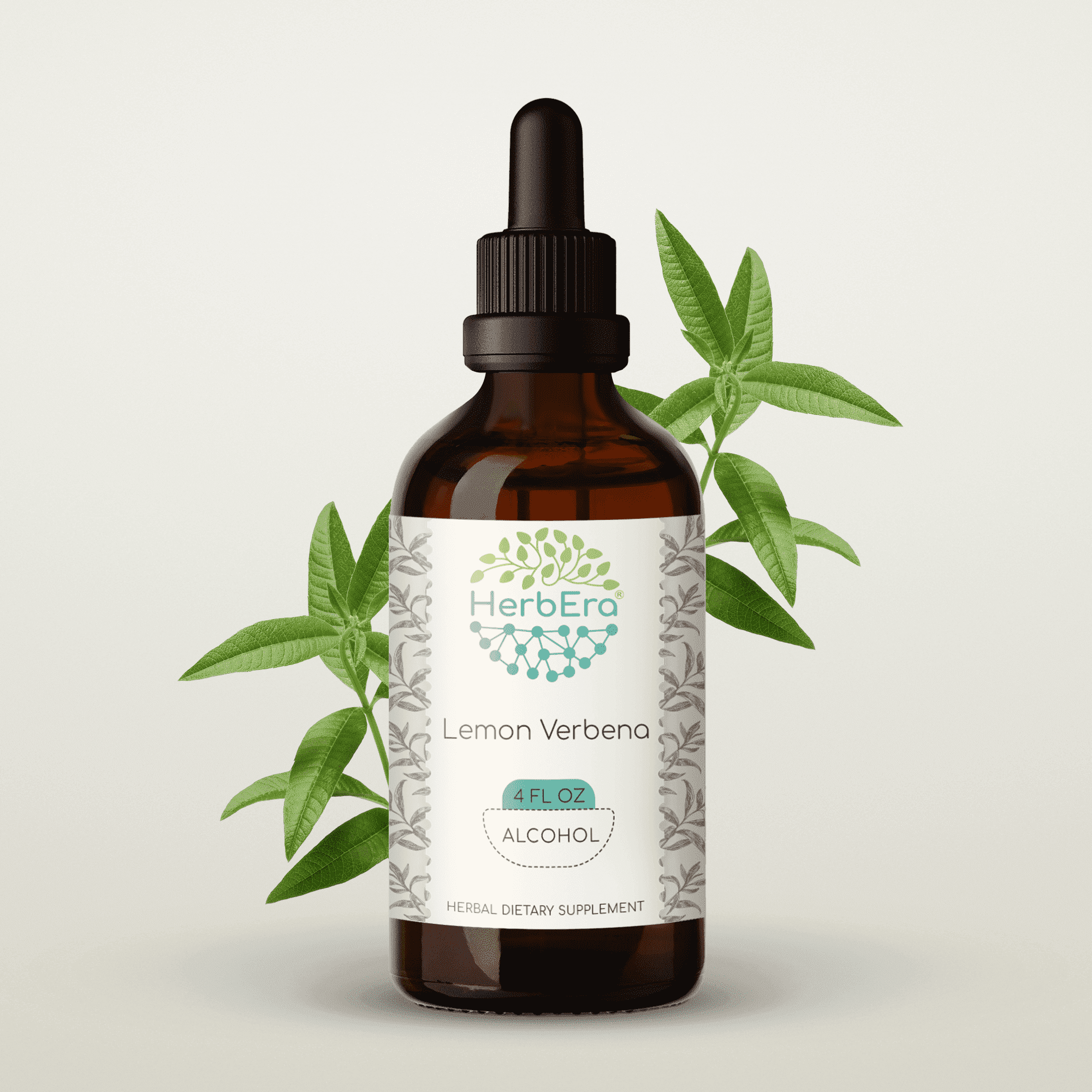 HerbEra Lemon Verbena Tincture, Herbal Dietary Supplement for Digestive ...