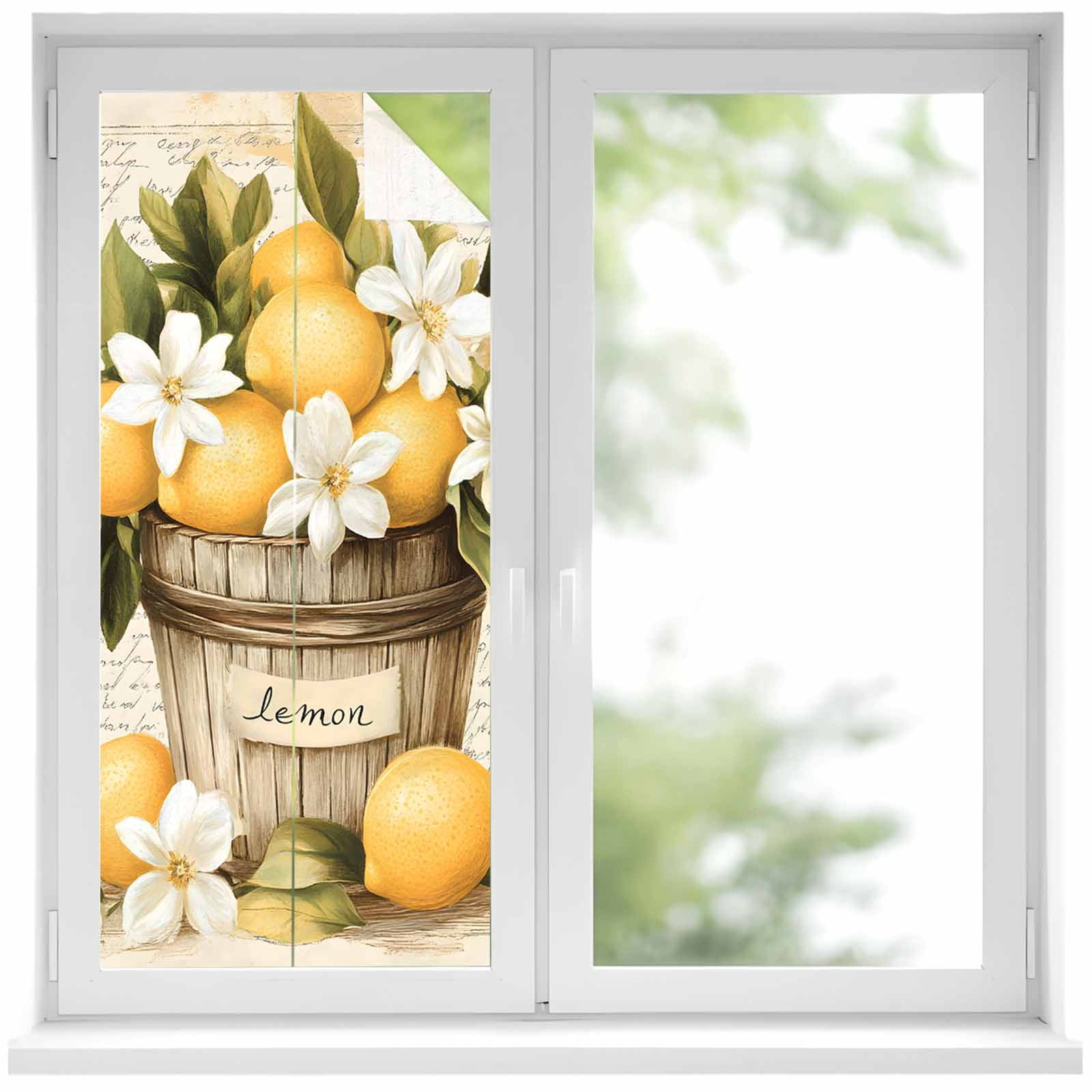 Lemon Window Privacy Film Watercolor Fruit Vintage Decorative Glass ...