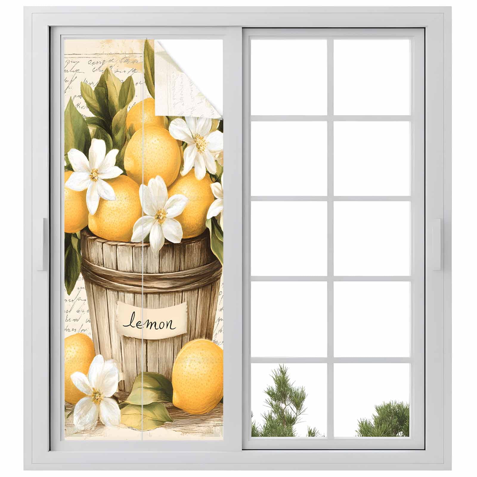 Lemon Window Privacy Film Watercolor Fruit Vintage Decorative Glass ...