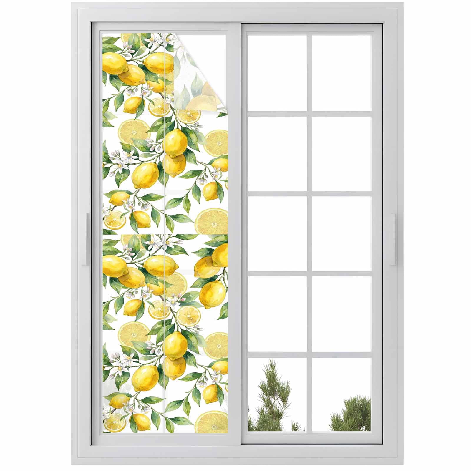 Lemon Window Privacy Film, Yellow Fruits Summer Watercolor Botanical ...