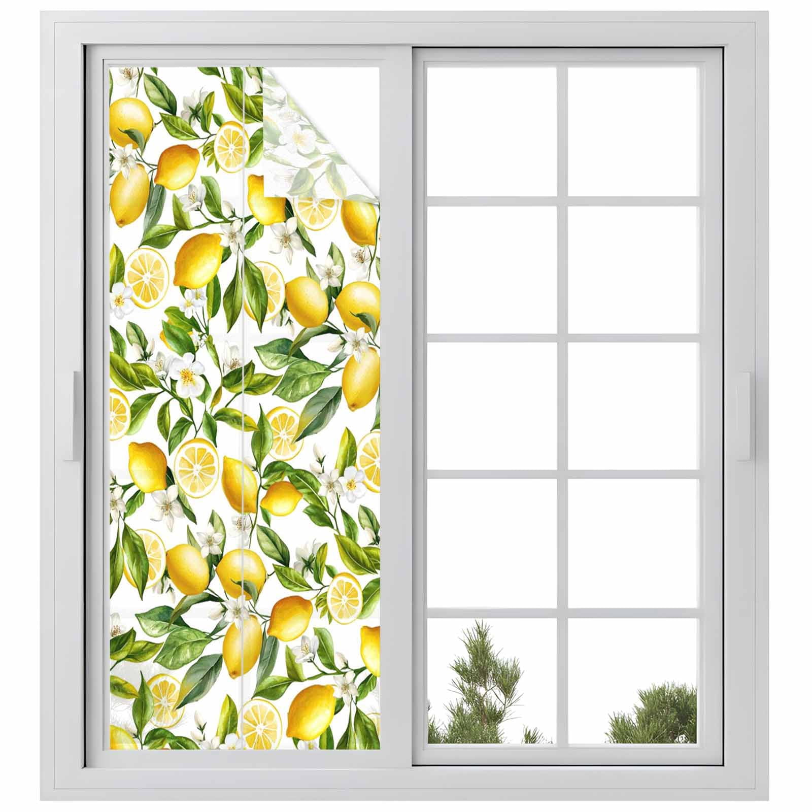 Lemon Yellow Privacy Window Film, Decorative Frosted Glass Window Film ...