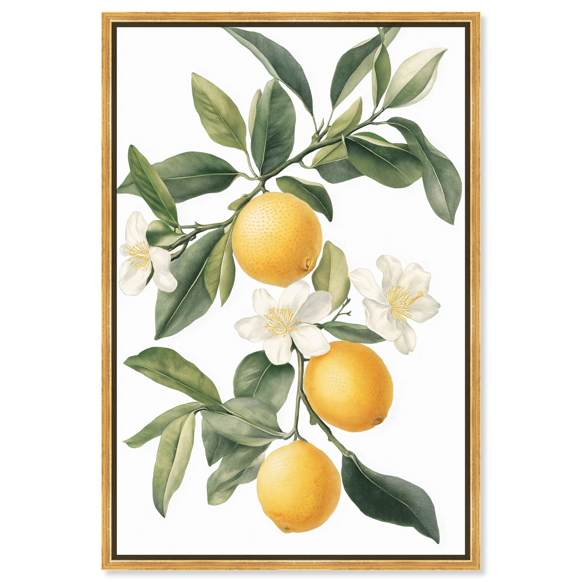 Lemon and Leaf Fusion II Canvas Vintage Prints by Art Remedy, Gold ...