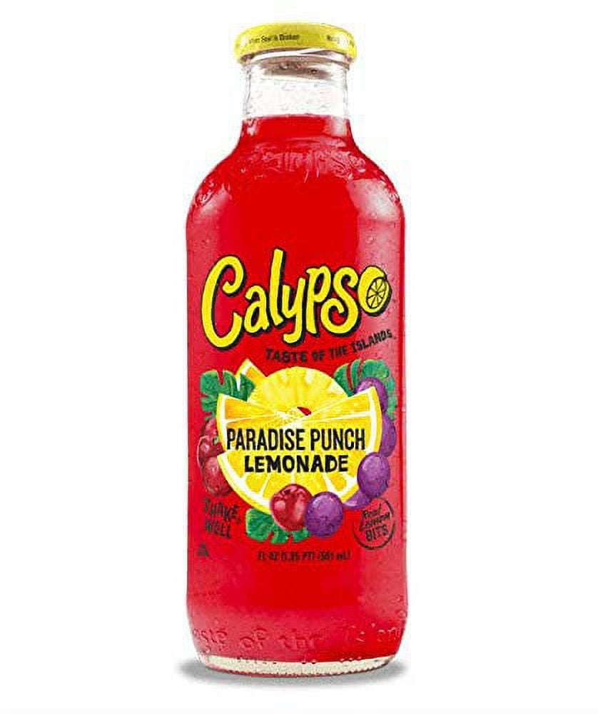 Lemonades 16 Ounce Glass Bottles 6 Pack Paradise Punch Lemonade