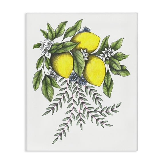 Lemons & Flowers Vintage Sketch Canvas Wall Art, design by Cecilia ...