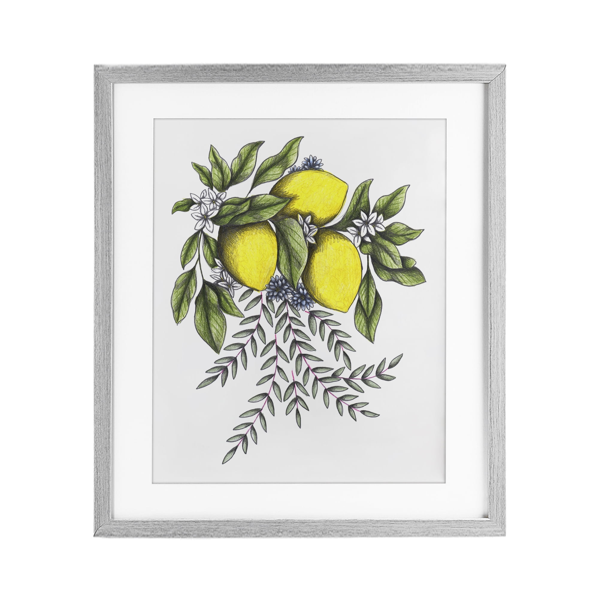 Lemons & Flowers Vintage Sketch Gray Framed Print Under Glass, design ...