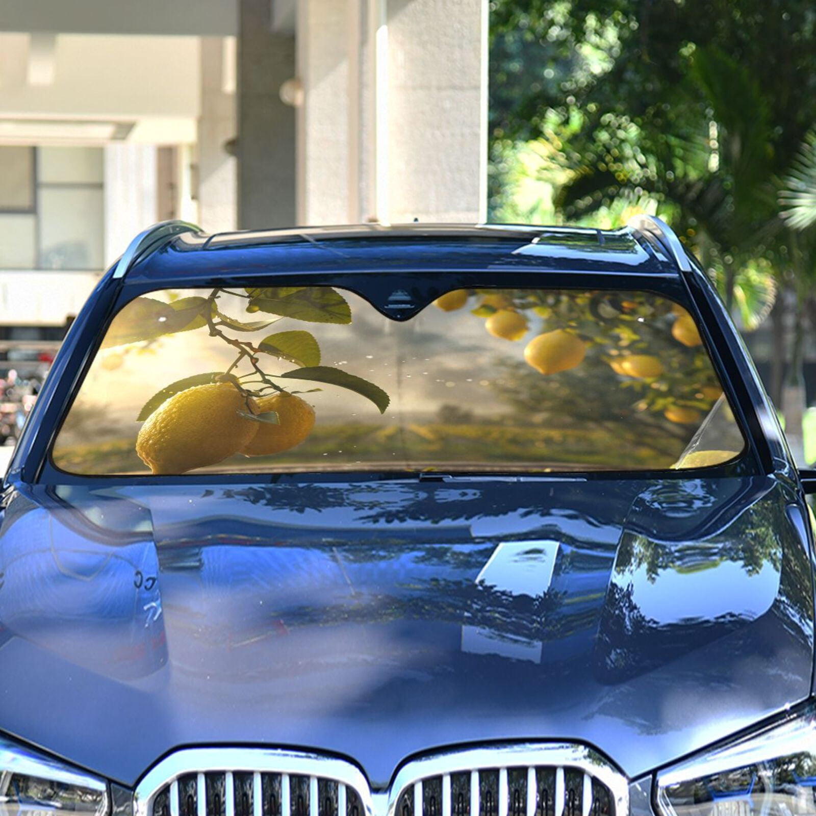 Lemons Leaves Sunlight Automotive Front Car Windshield Sun Shade ...