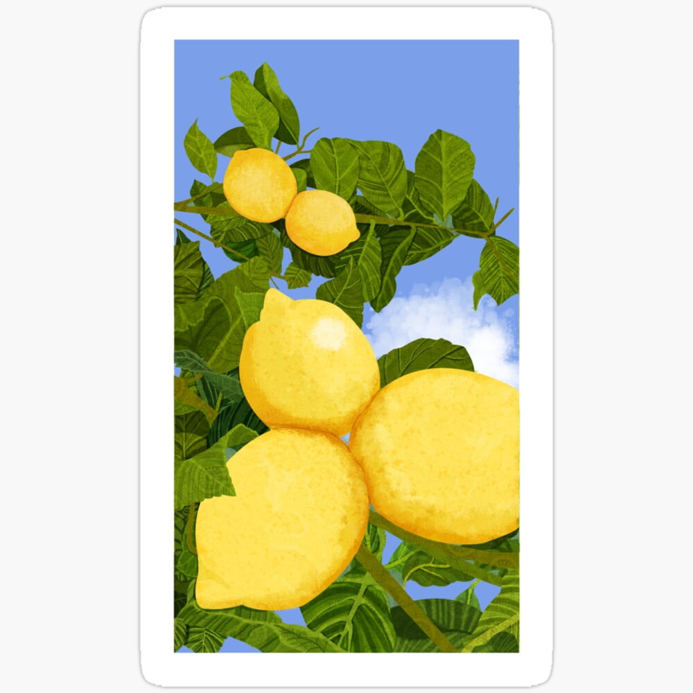 Lemons Sticker Phone Decal Water Bottle Stickers Car Decals, Laptop ...