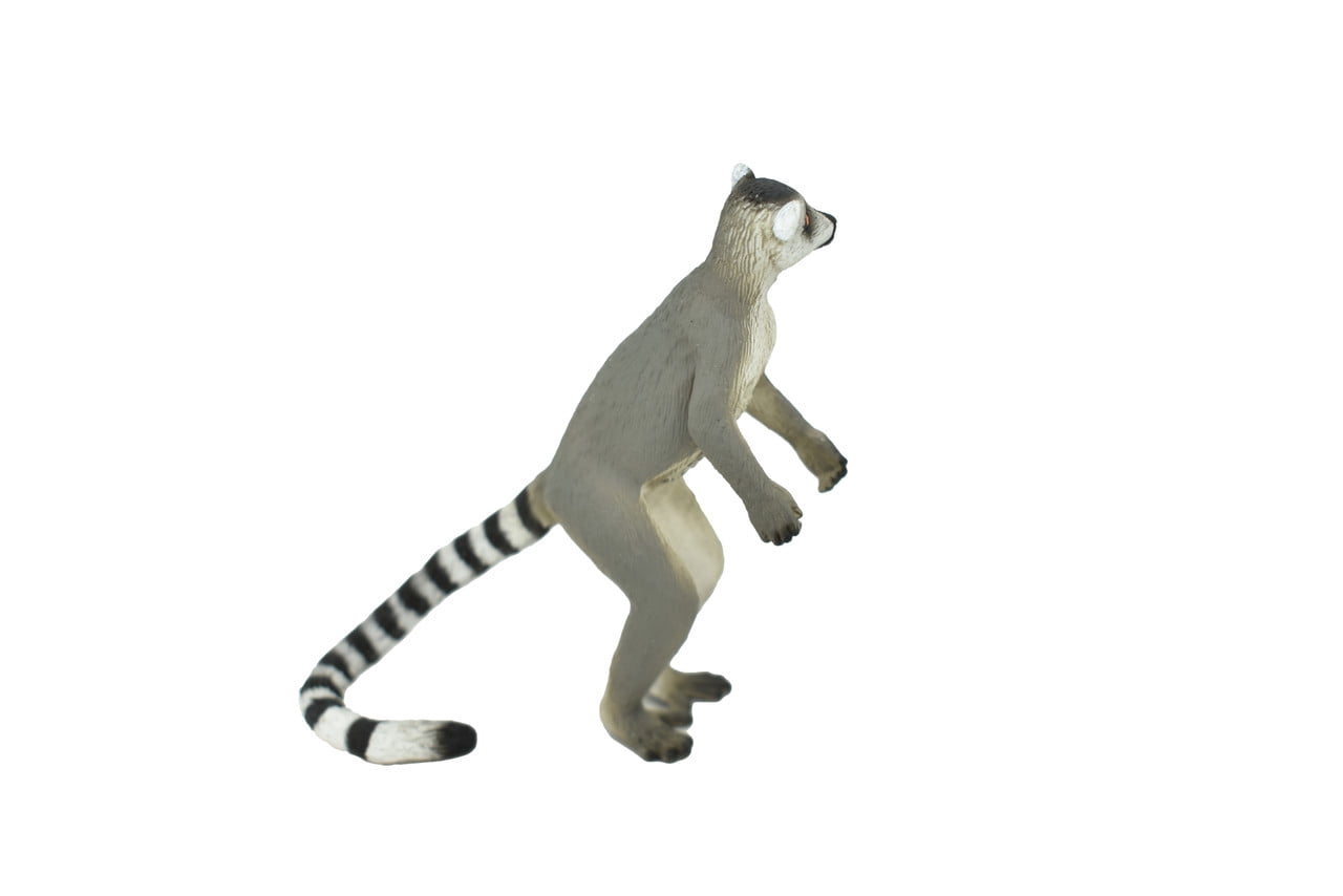 Lemur Ring Tailed Realistic Toy Model Plastic Replica Animal, Kids ...
