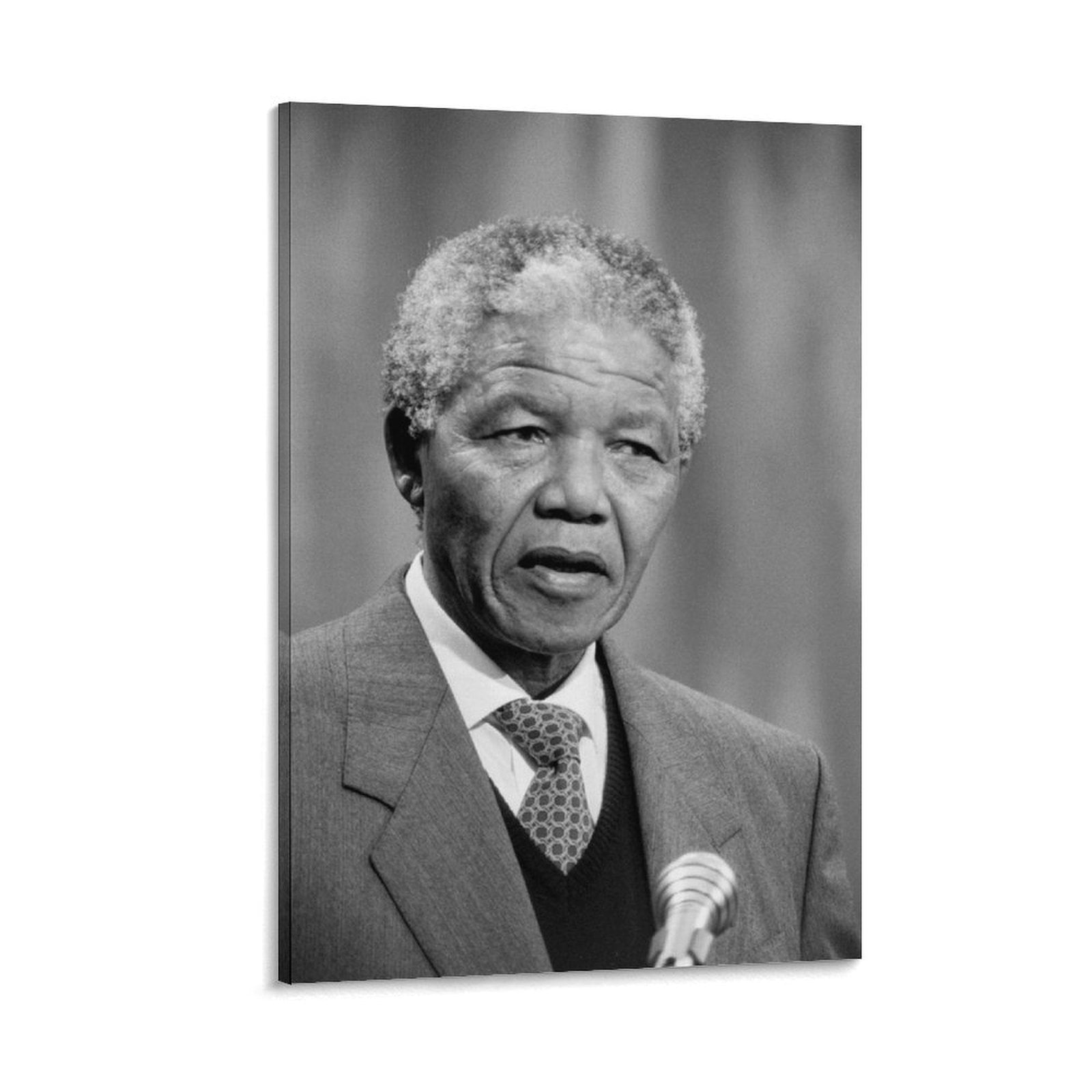 Lenin Peace Prize Recipients Nelson Mandela Poster Picture Print Wall ...