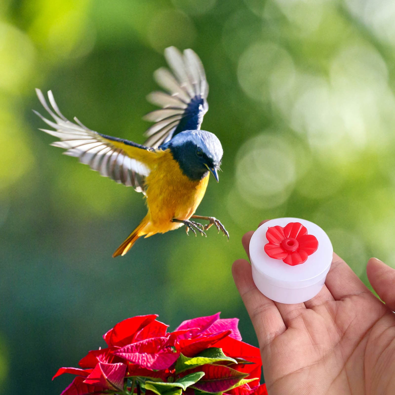 Lenkho Deals Handheld Hummingbird Feeders,Clips Plastic Hand Held ...