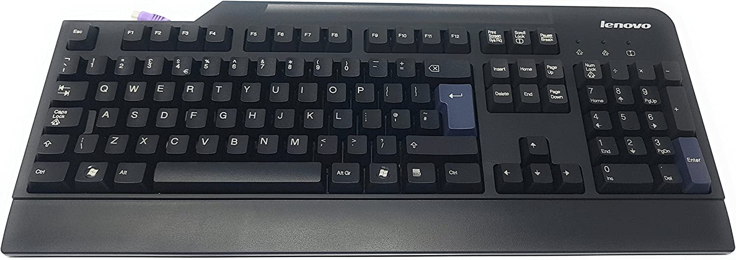 Lenovo Black PS2 Keyboard - SK-8813 - (Preferred Pro Fullsize PS/2 ...