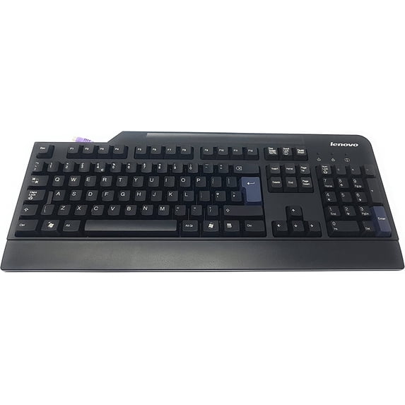 Lenovo Black PS2 Keyboard - SK-8813 - (Preferred Pro Fullsize PS/2 ...