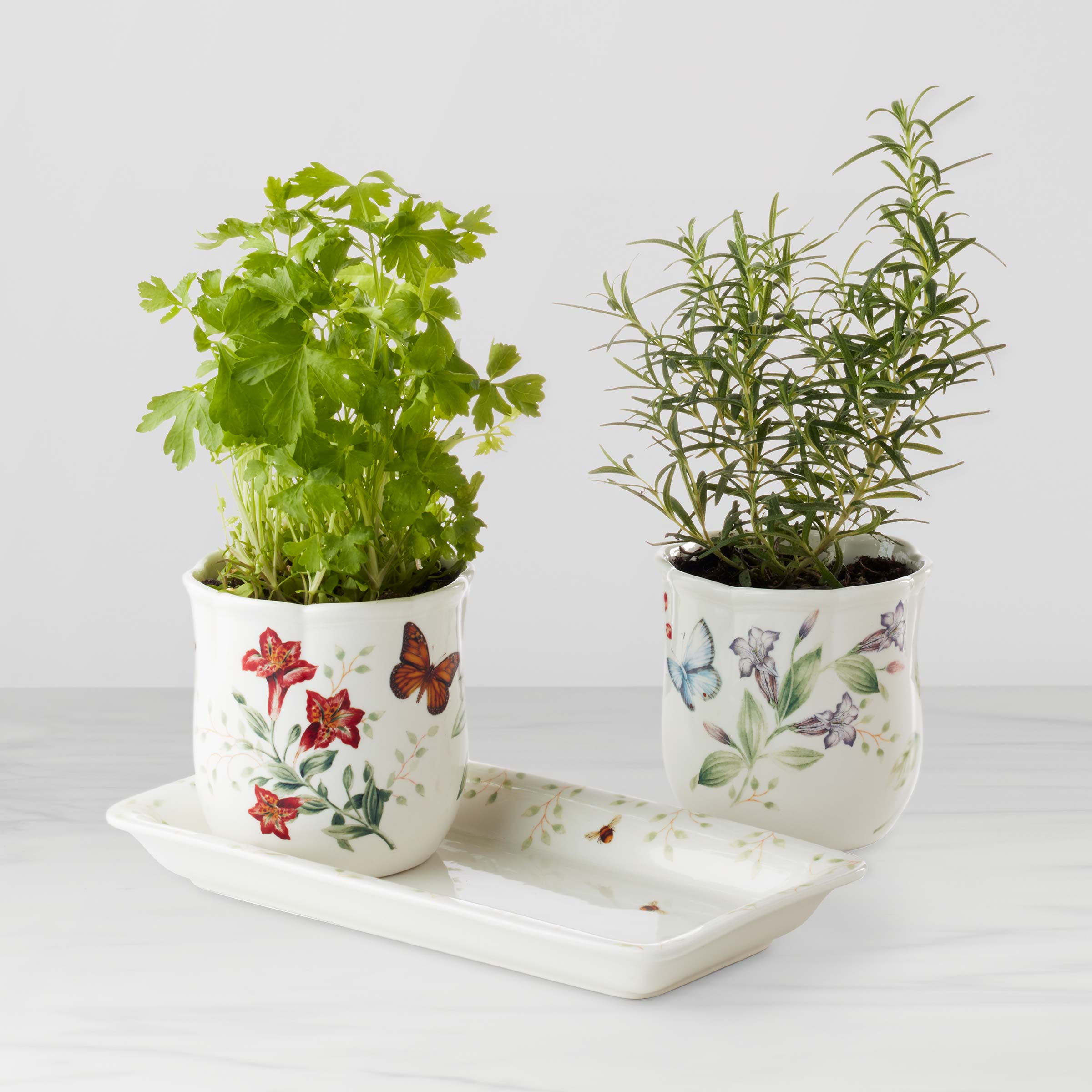 Lenox Butterfly Meadow 3-Piece Herb Pots & Tray Set, Porcelain, 16 oz ...