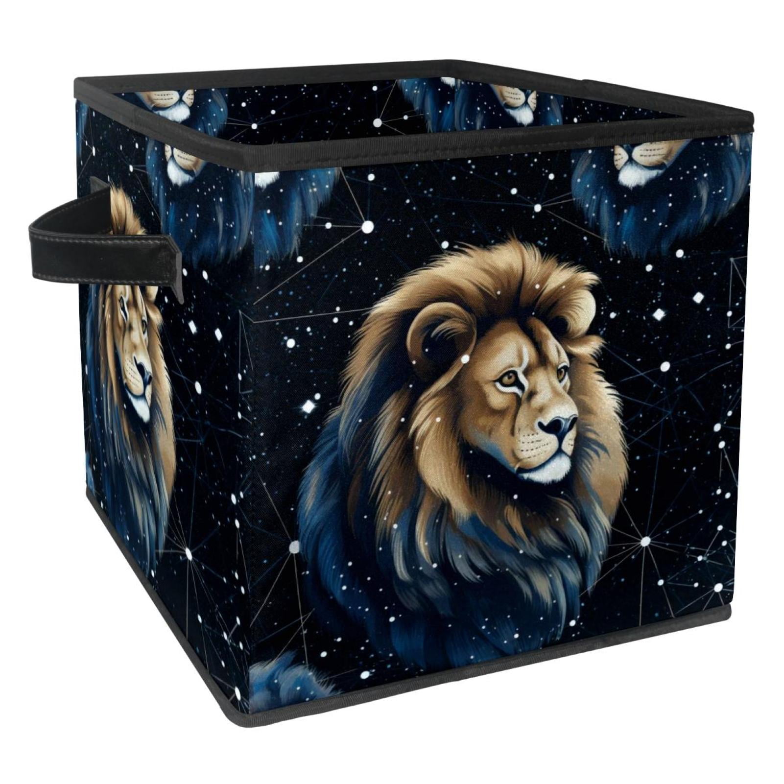 Leo Constellation Collapsible Storage Cubes, Cube Organizer Bins with ...