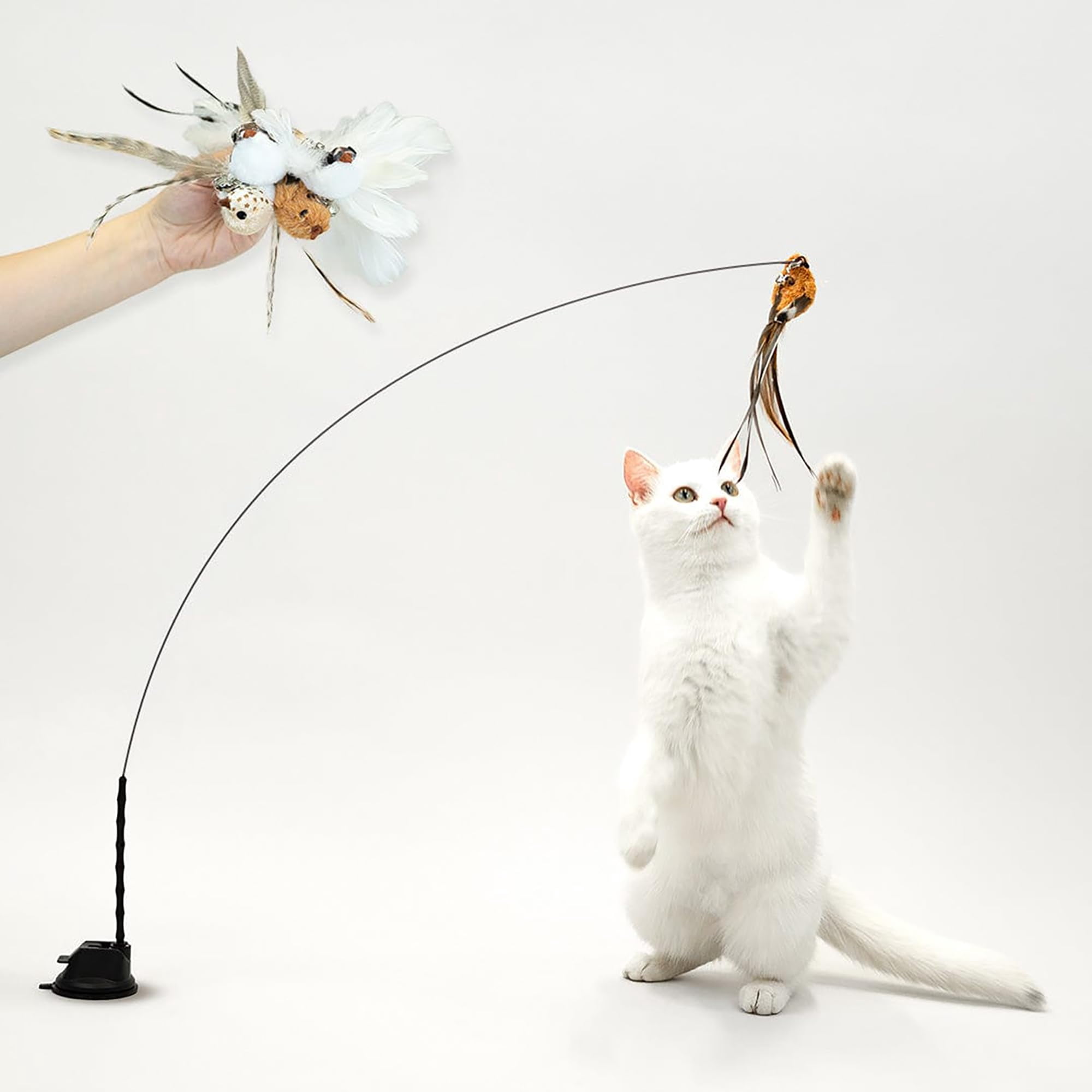 Leo's Paw The Original Interactive Bird Simulation Cat Set Realistic ...