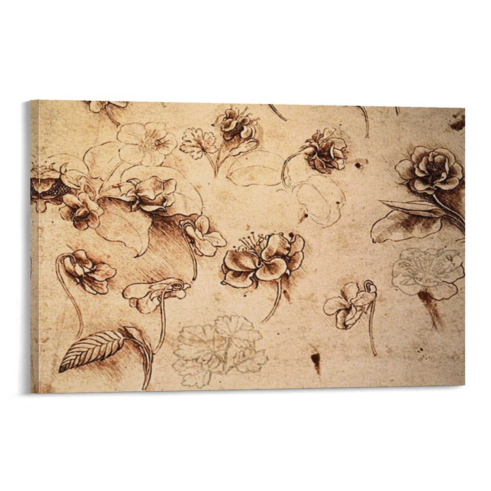 Leonardo Da Vinci Flower by Leonardo Da Vinci Posters Canvas Poster ...