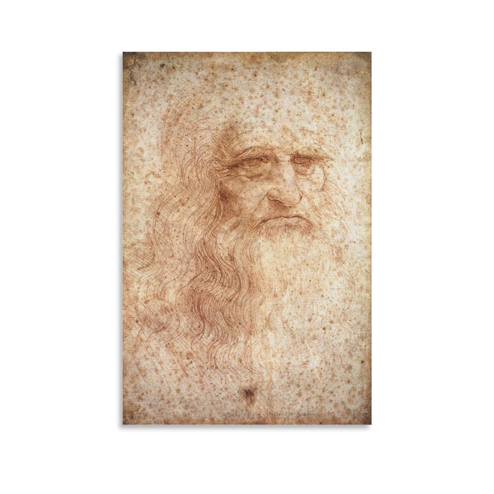 Leonardo Da Vinci Presumed Self Portrait Posters Home Decor Poster Wall ...