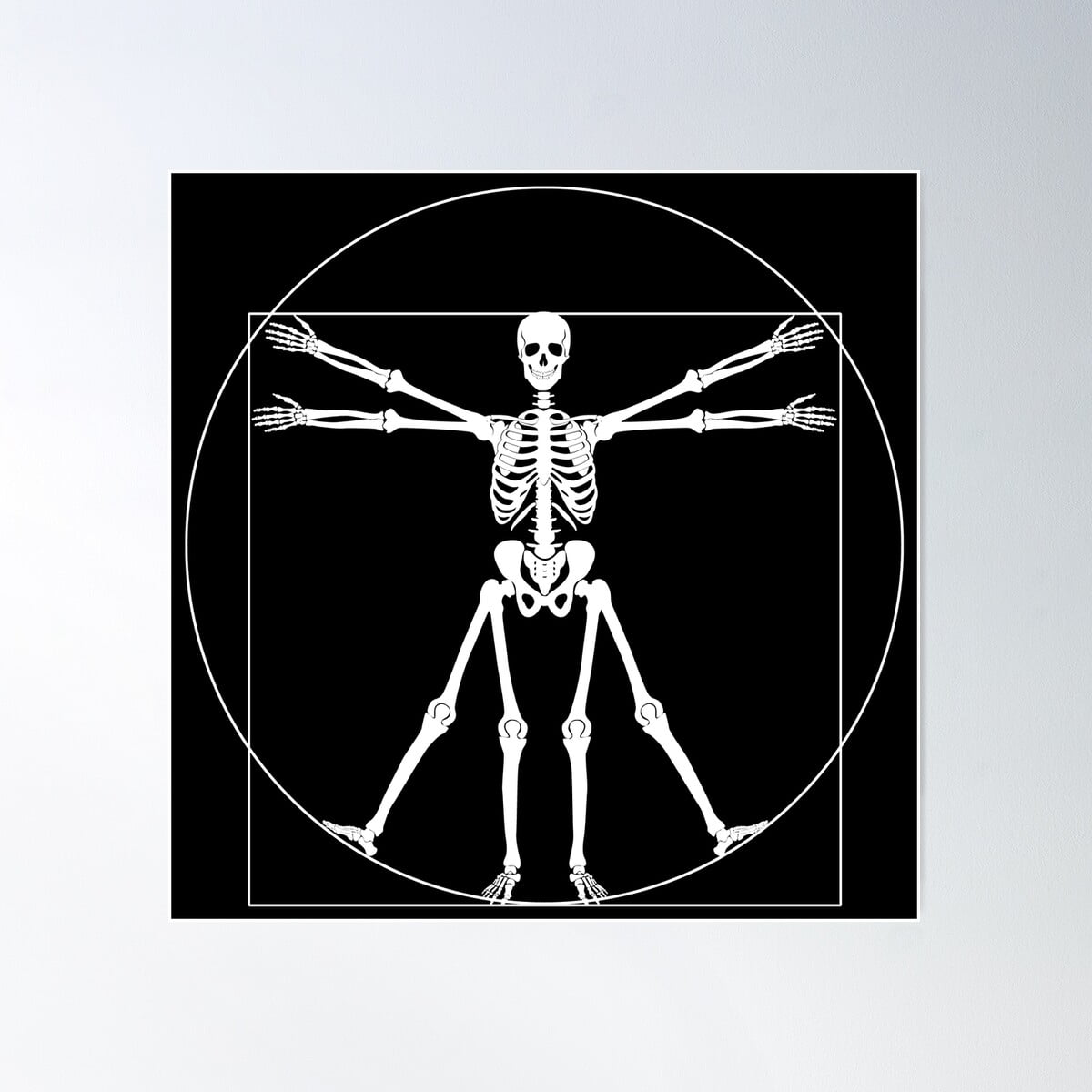 Leonardo Da Vinci, The Vitruvian Man Skeleton Poster Wall Art, Modern Wall Decor For Living Room ...