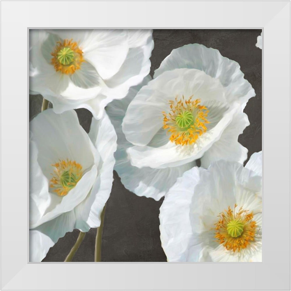 Leonardo, Sanna 20x20 White Modern Wood Framed Museum Art Print Titled ...